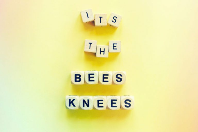 Are you the bee’s knees? What does it really mean? - Back On Track Teens